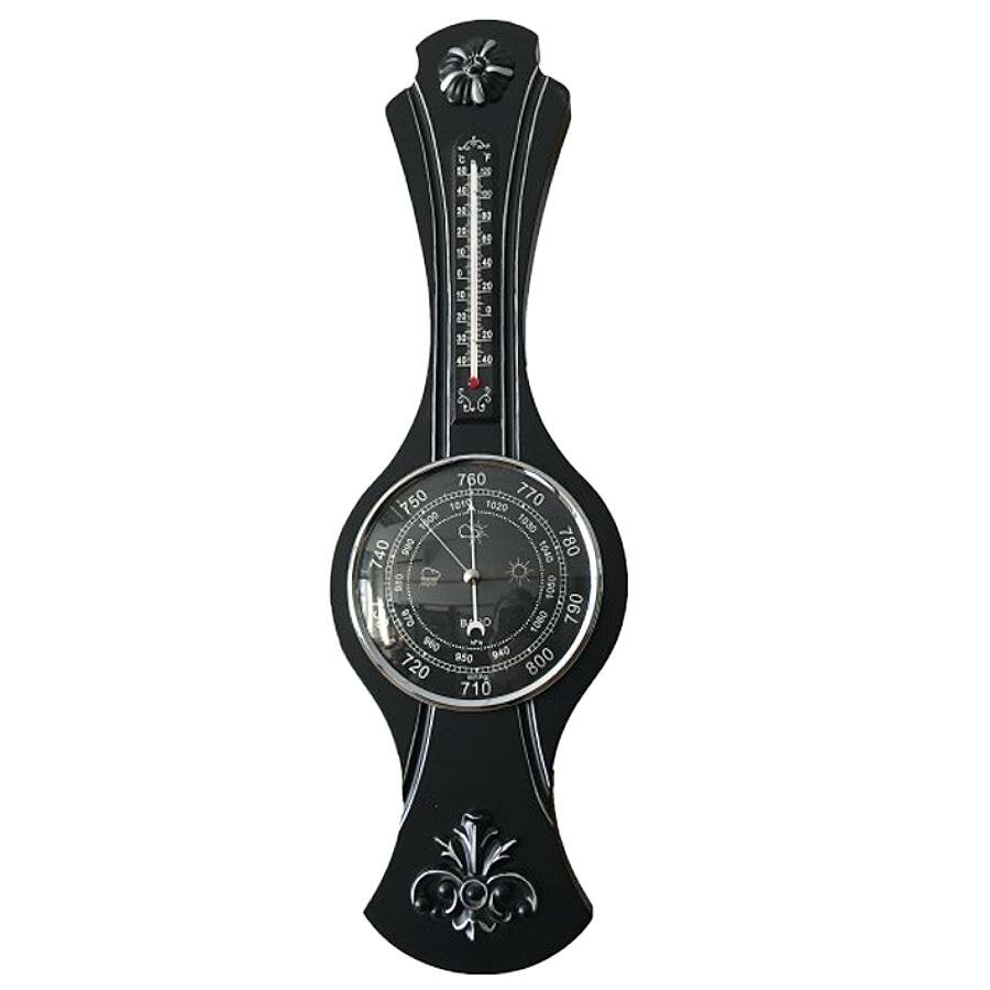 Домашняя метеостанция Серебристый георгин