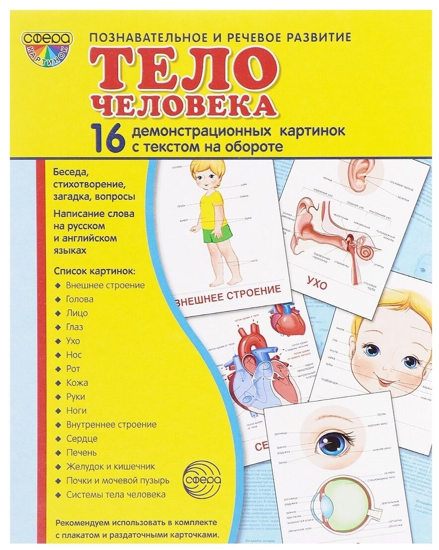 Тело человека 16 демонстрационных картинок с текстом Демонстрационный материал Цветкова ТВ 0+