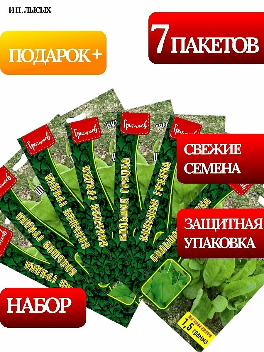 Семена Щавель "Польский Широколистный"