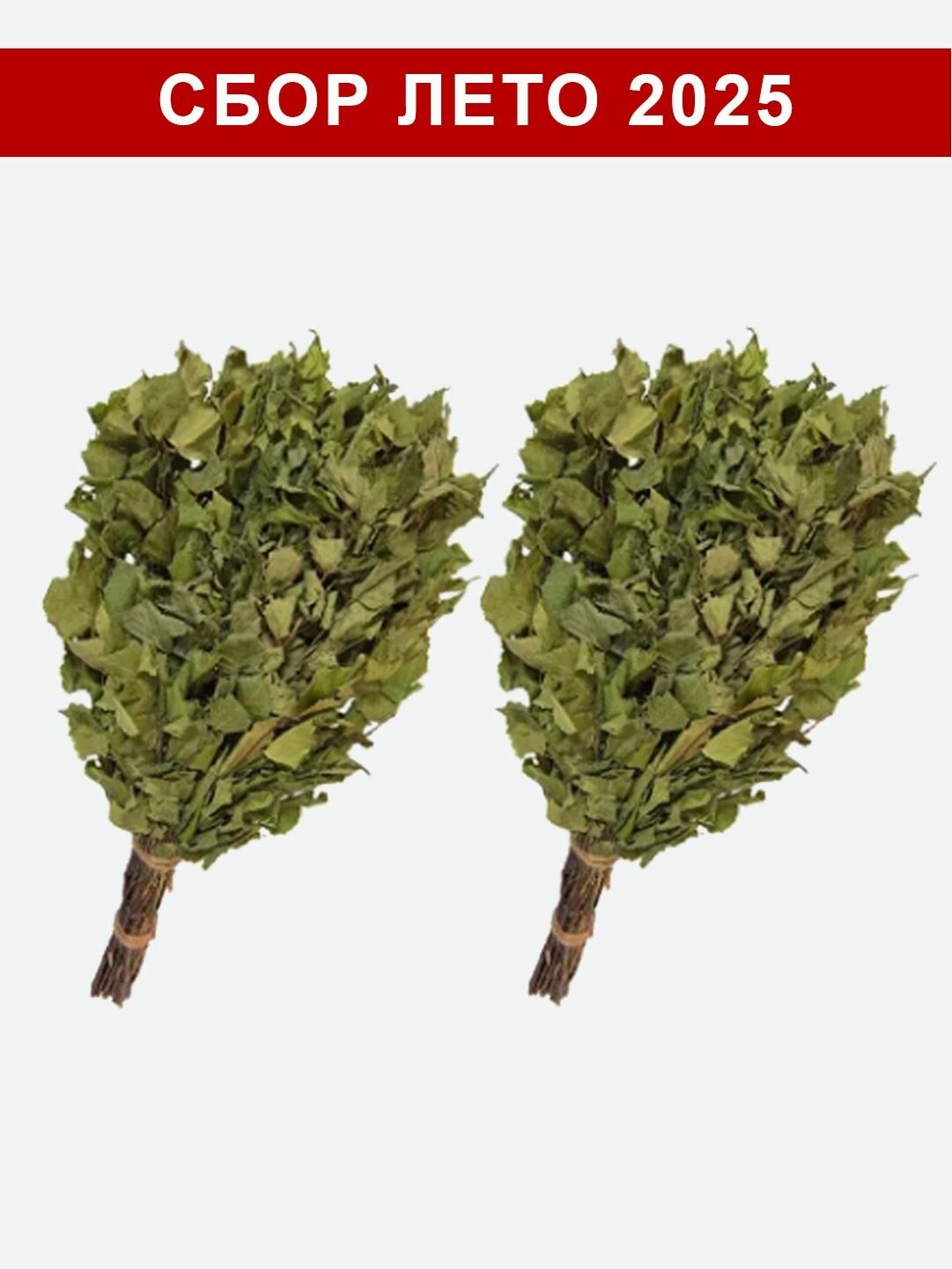 Веник для бани Березовый, 2 шт / свежий Сбор лето 2025