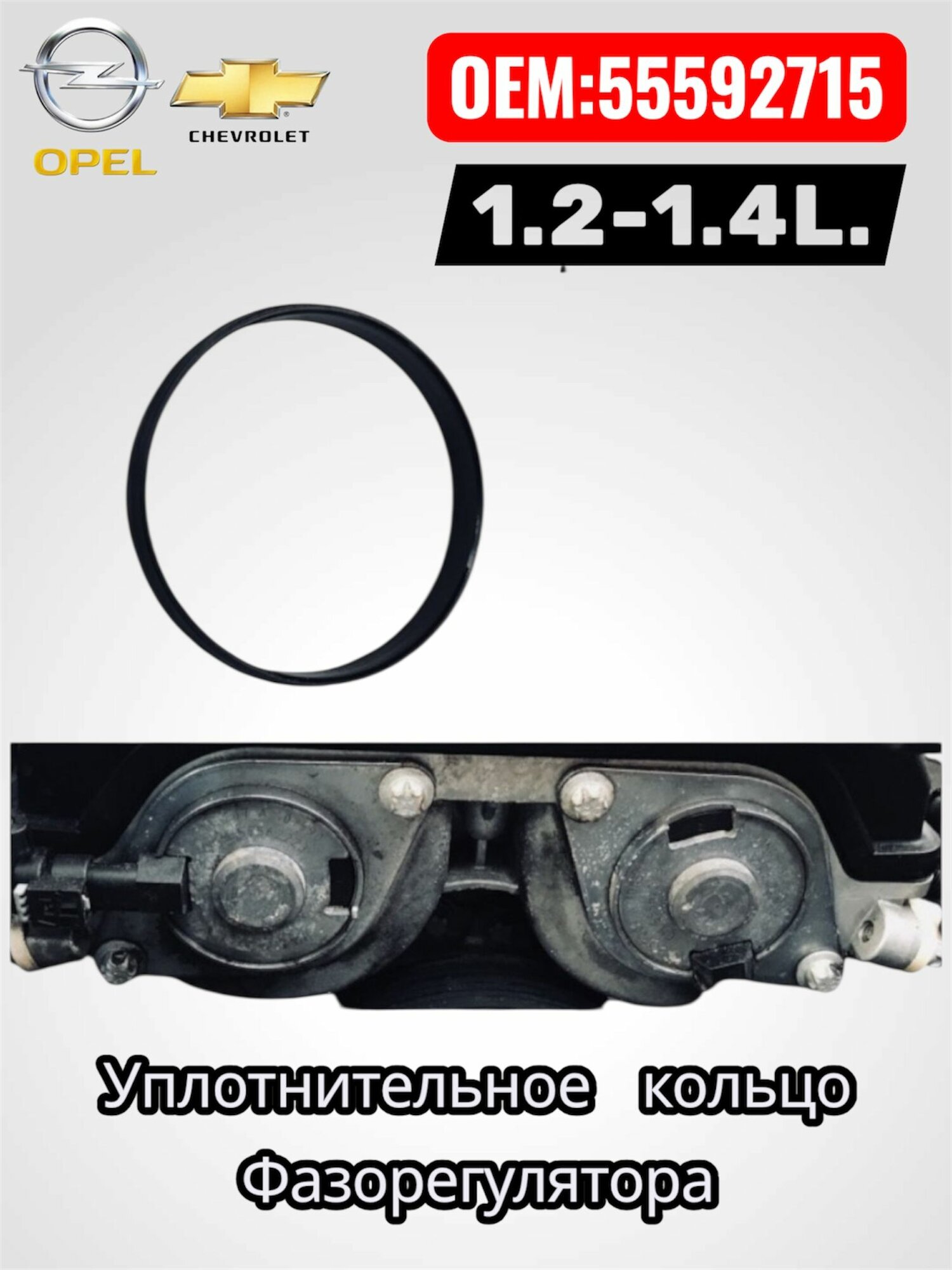Уплотнительное кольцо фазорегулятора Opel astra j/Chevrolet 55592715