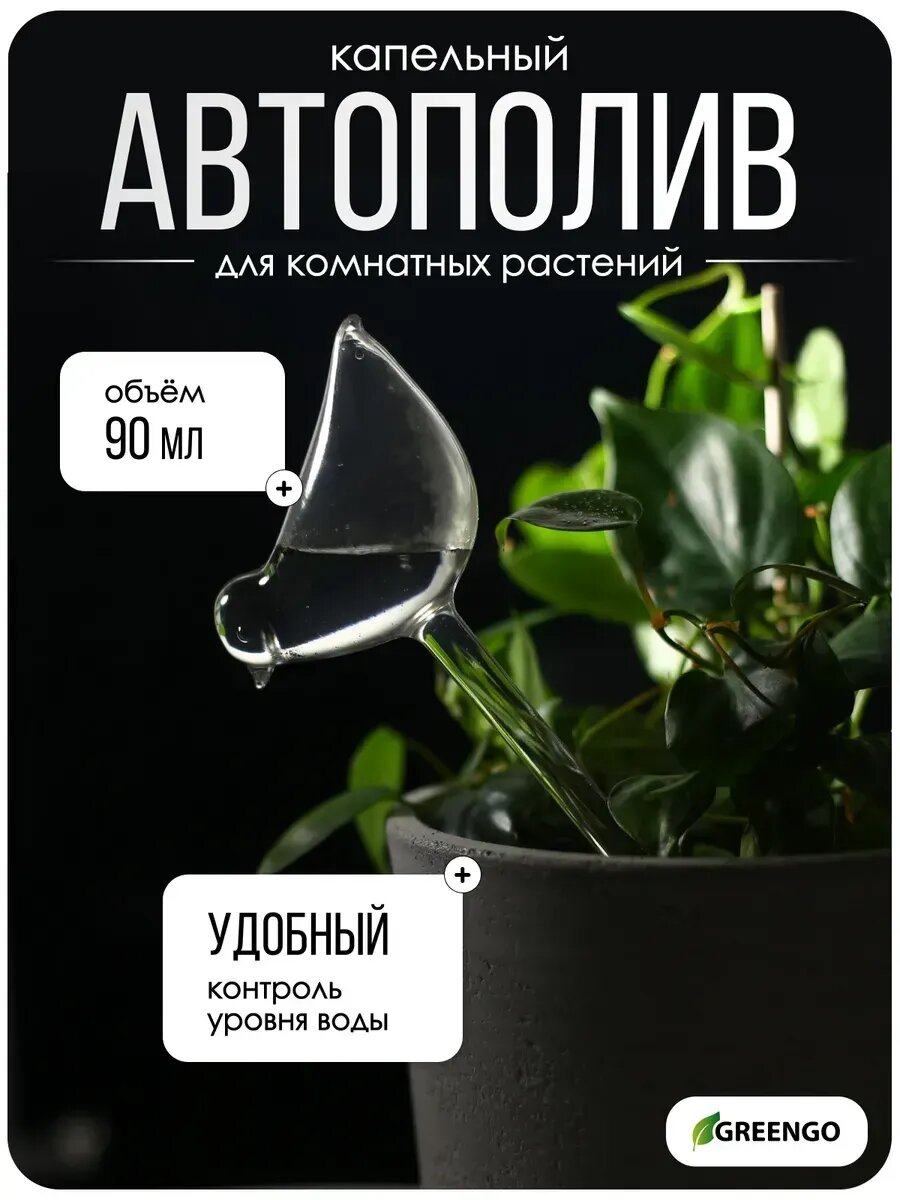 Автополив для комнатных растений