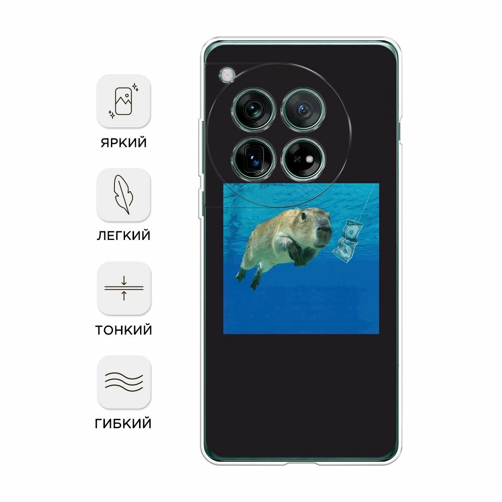 Чехол на OnePlus 12 / Ван Плас 12 с принтом Капибара в бассейне — фото 1