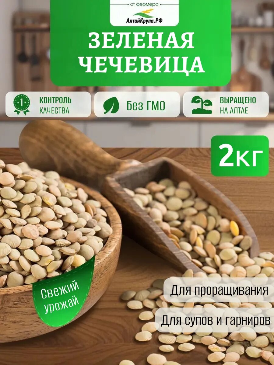 Чечевица зеленая нешлифованная подходит для проращивания 2 кг