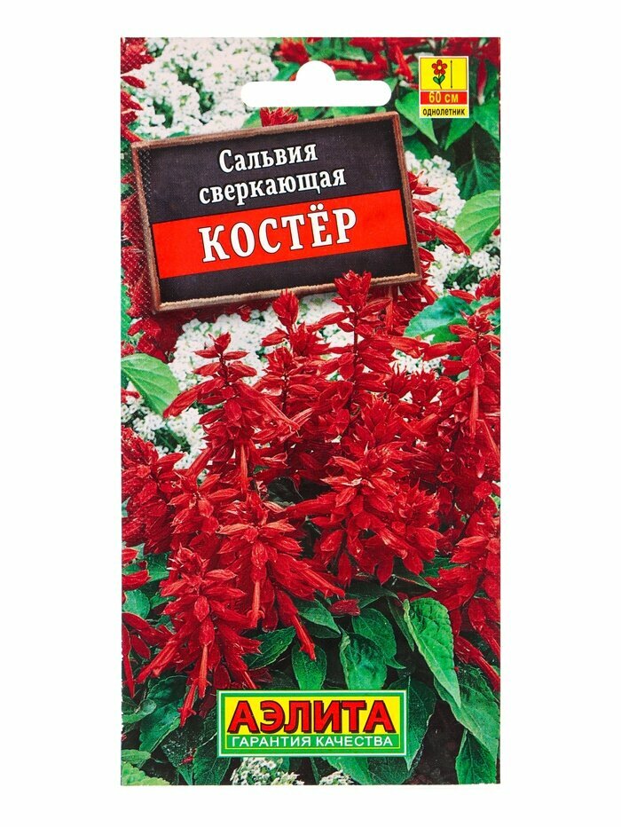 Семена цветов Сальвия «Костер», 0.1 г, «аэлита»