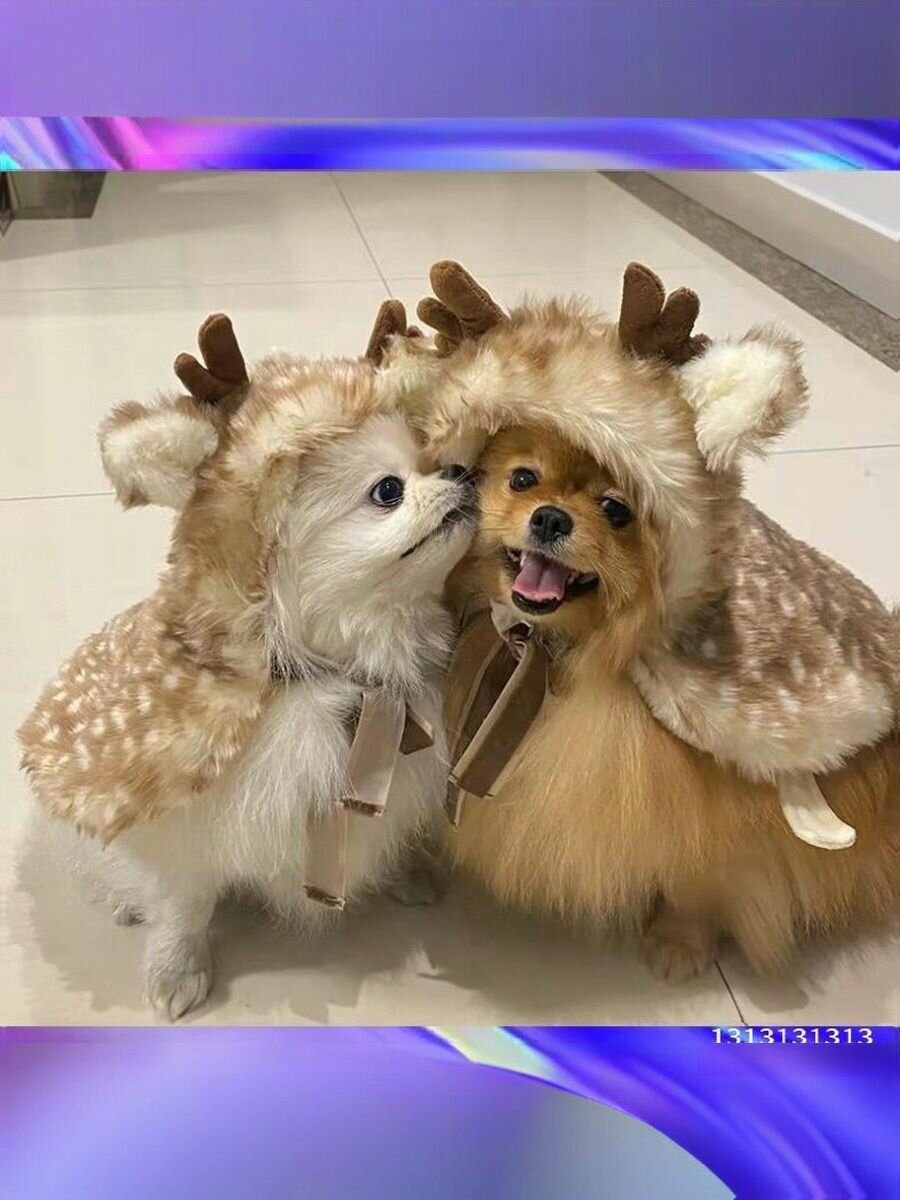 Эксклюзивный зоогамбургер