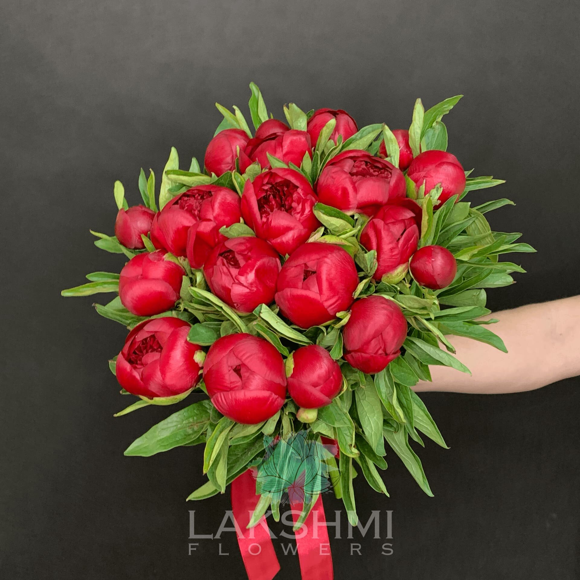 19 пионов / Букет из 19 красных пионов сорта «Red Charm» под ленту
