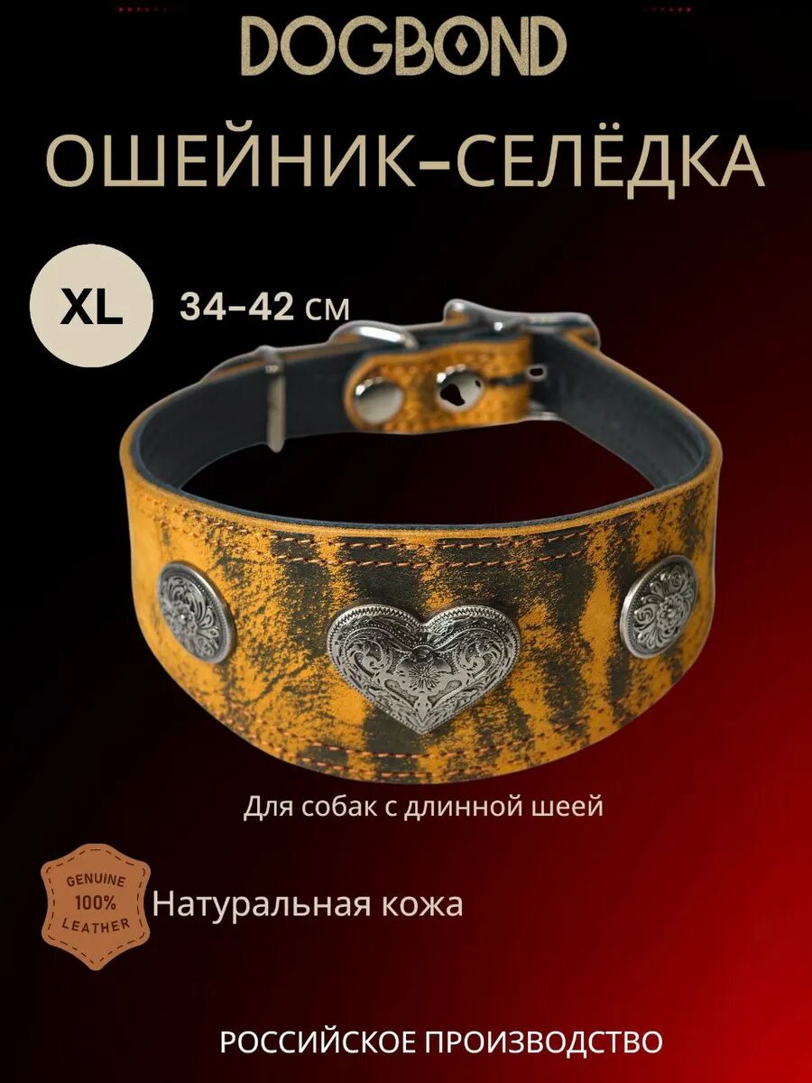 Ошейник-селедка Dogbond для грейхаундов и борзых собак