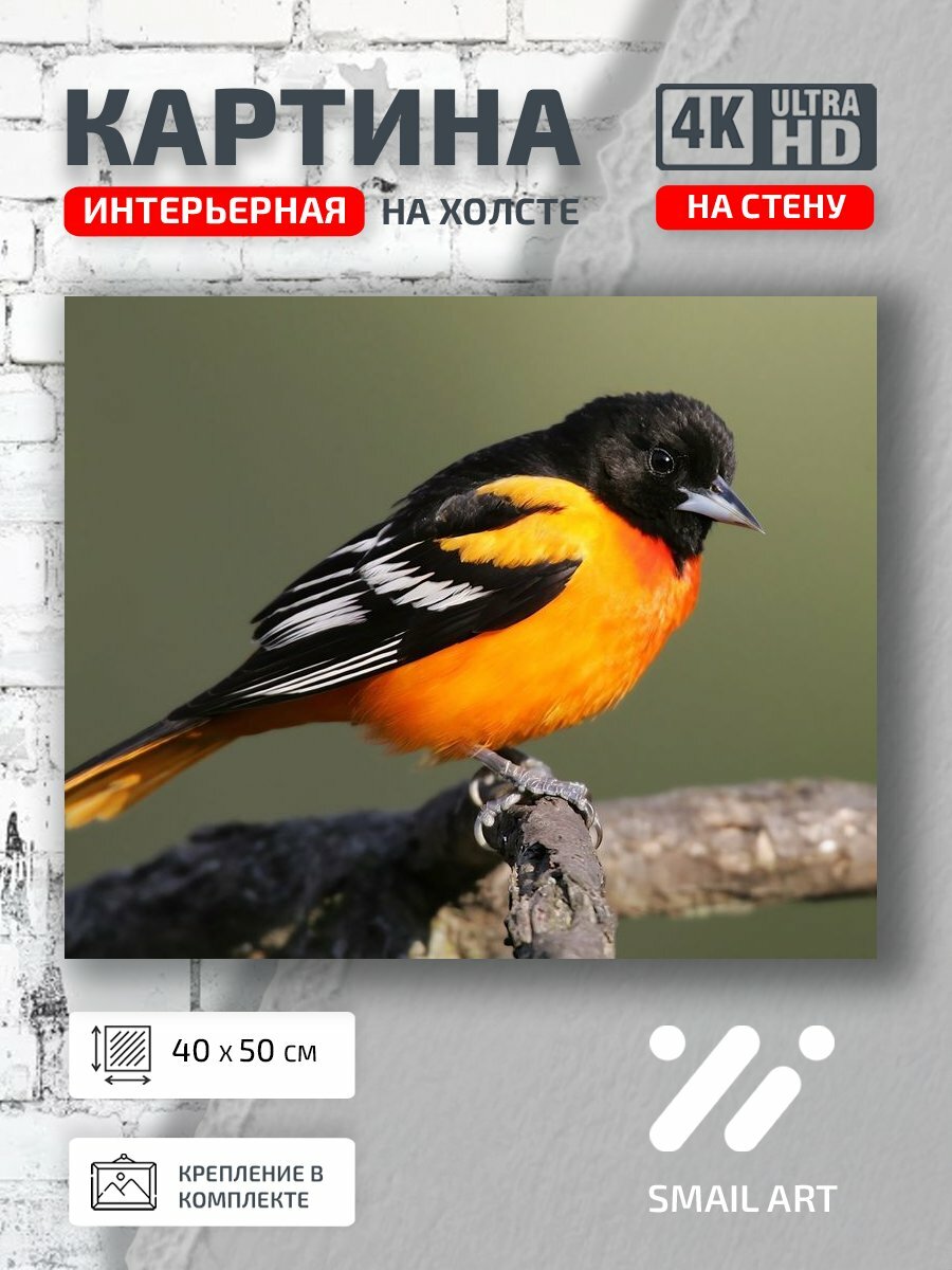 Картина на холсте интерьерная 40 на 50 на стену Птица Landscape для гостиной пейзаж декор