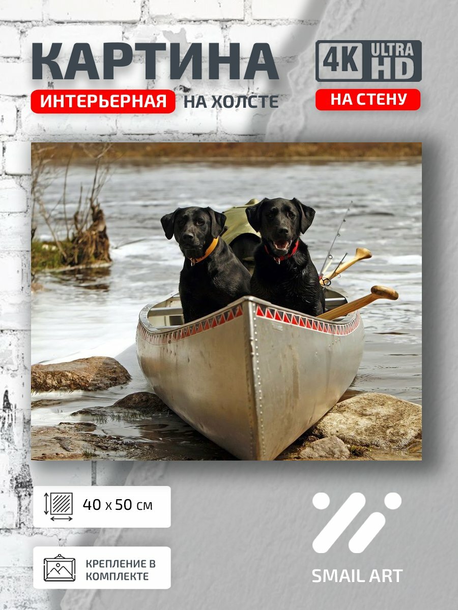 Картина на холсте интерьерная 40 на 50 на стену Собаки Landscape для офиса пейзаж интерьер
