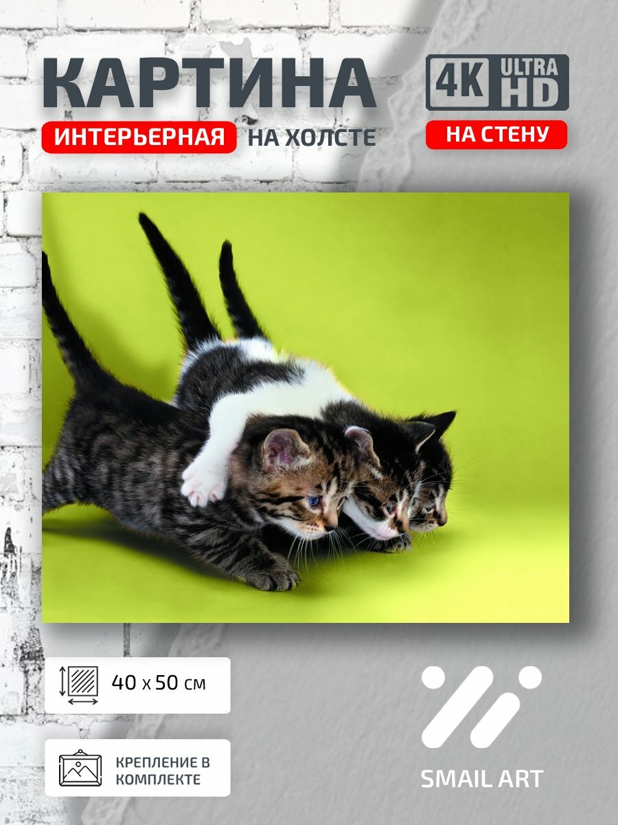 Картина на холсте интерьерная 40 на 50 на стену Обнявшись Animal для детской animal style