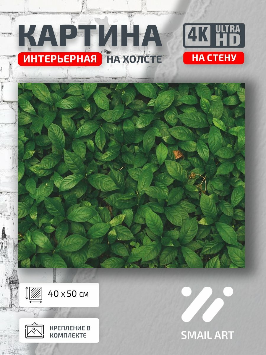 Картина на холсте интерьерная 40 на 50 на стену Кусты Landscape для кабинета пейзаж декор