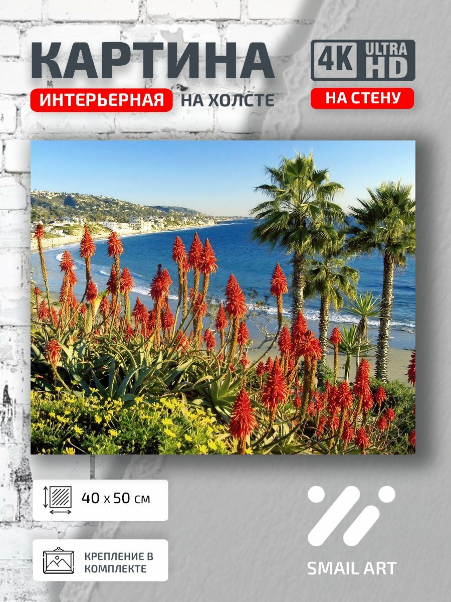 Картина на холсте интерьерная 40 на 50 на стену Калифорния California для гостиной пейзаж