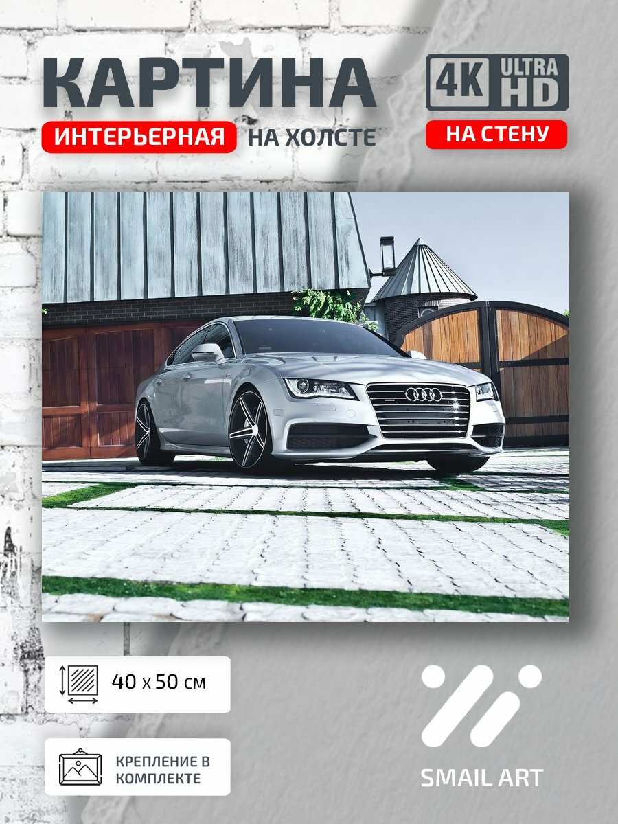 Картина на холсте интерьерная 40 на 50 на стену Коттеджа Audi для кабинета animal style