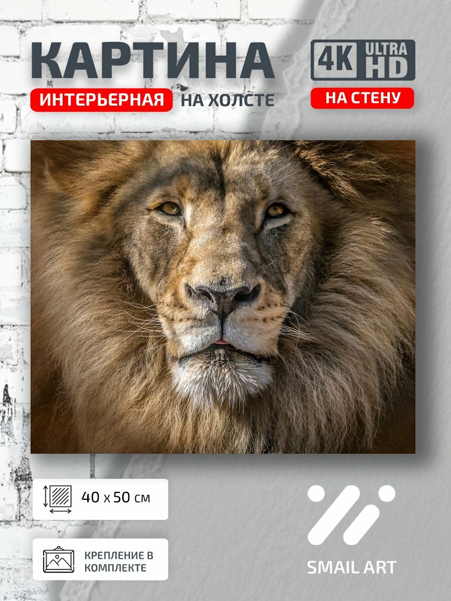 Картина на холсте интерьерная 40 на 50 на стену Зверей Animal для кафе animal style декор