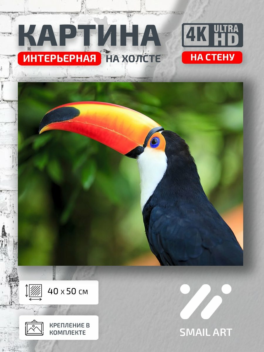 Картина на холсте интерьерная 40 на 50 на стену Тукан Landscape для кафе пейзаж интерьер