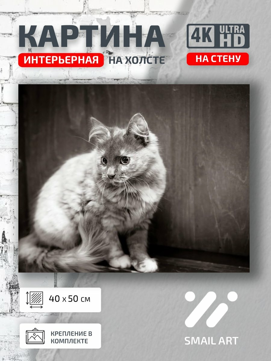 Картина на холсте интерьерная 40 на 50 на стену Полка Animal для спальни animal style декор