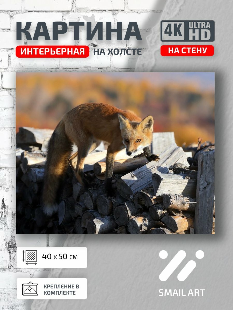 Картина на холсте интерьерная 40 на 50 на стену Крадется Animal для детской animal style