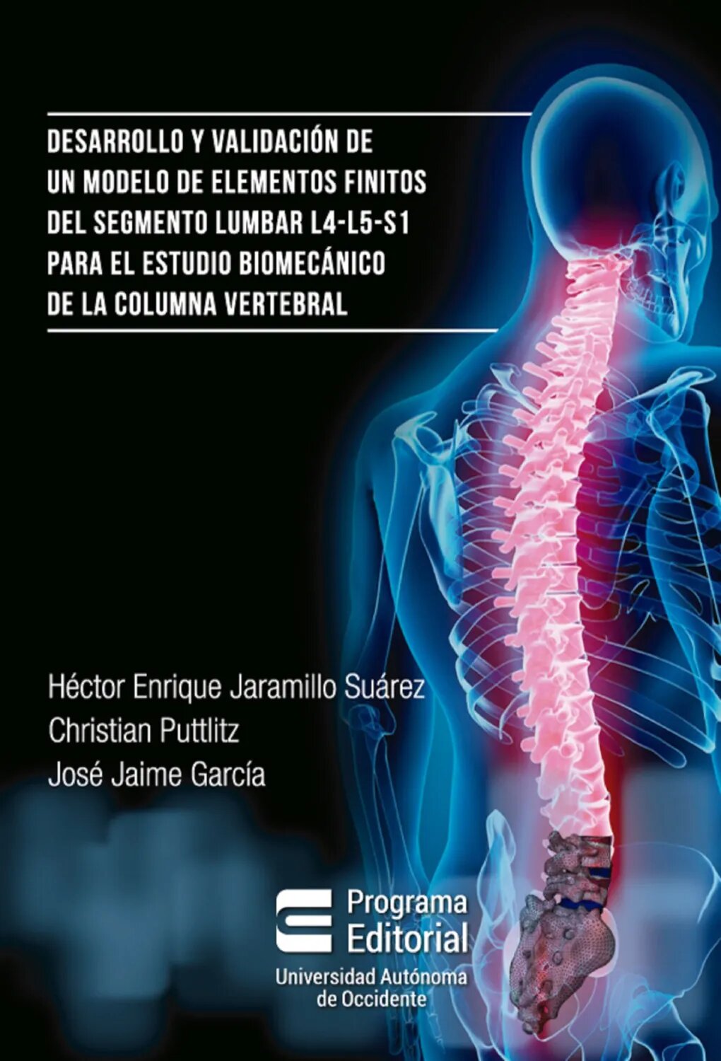 Desarrollo y validación de un modelo de elementos finitos del segmento lumbar L4-L5-S1 para estudio biomecánico de la columna vertebral [Цифровая книга]