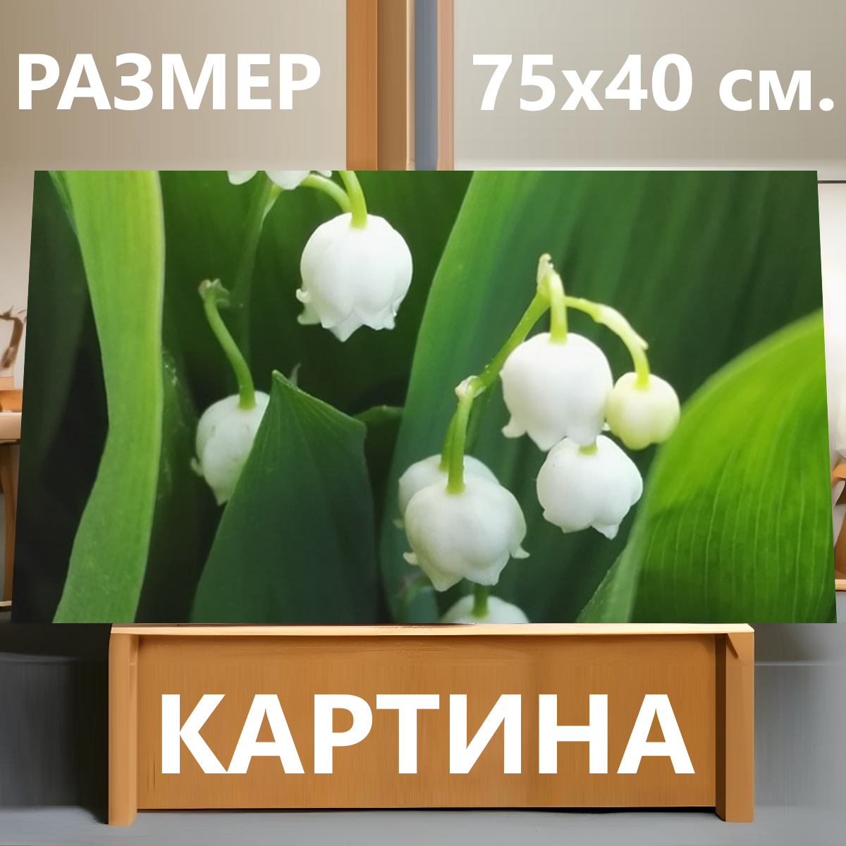 Картина на холсте "Ландыши, цветы, белый" на подрамнике 75х40 см. для интерьера