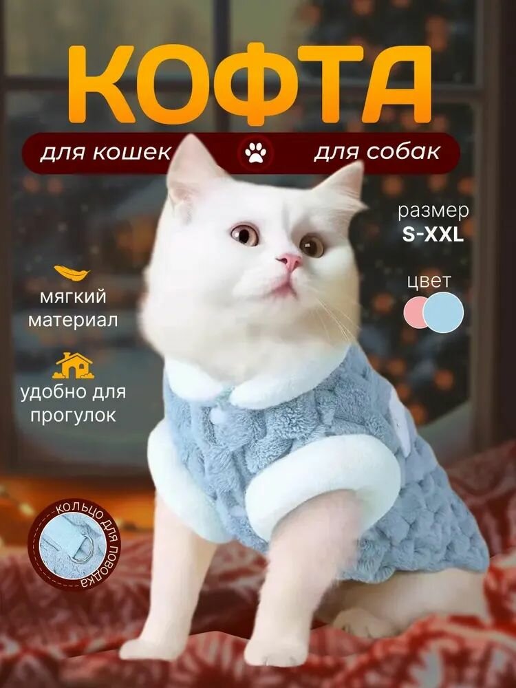 Одежда для животных