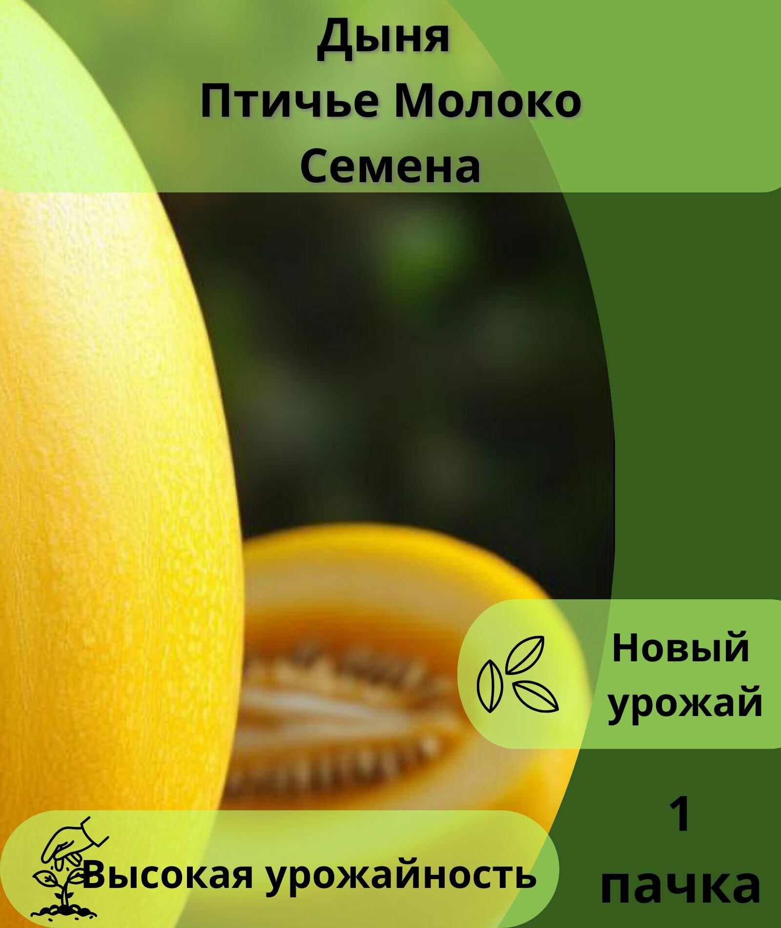 Дыня птичье молоко, Коллекционные семена 10шт