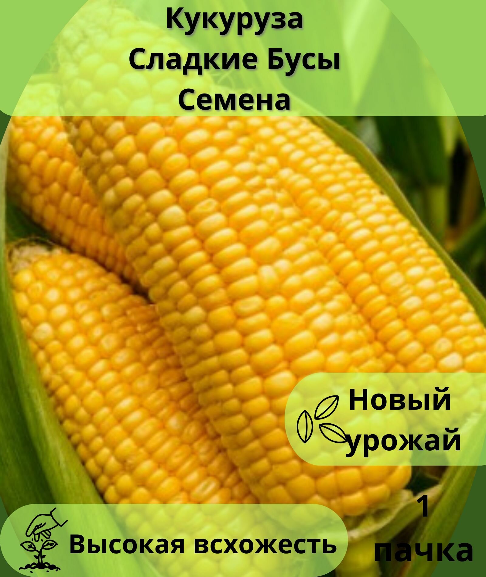 Кукуруза сахарная Сладкие бусы, семена 10шт