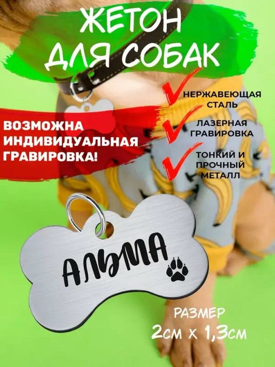 Адресник для собаки с гравировкой, нерж. сталь, серебристый, Альма