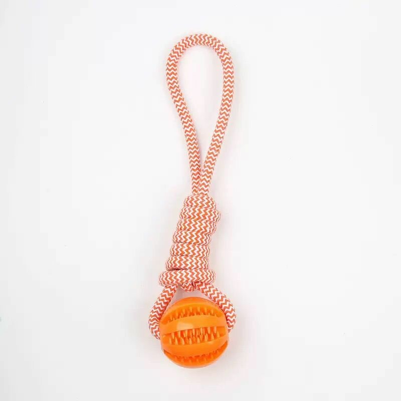 Игрушка для собак, мяч для утечки еды, устойчивый к укусам, молярный золотистый ретривер, Тедди, игрушка для домашних