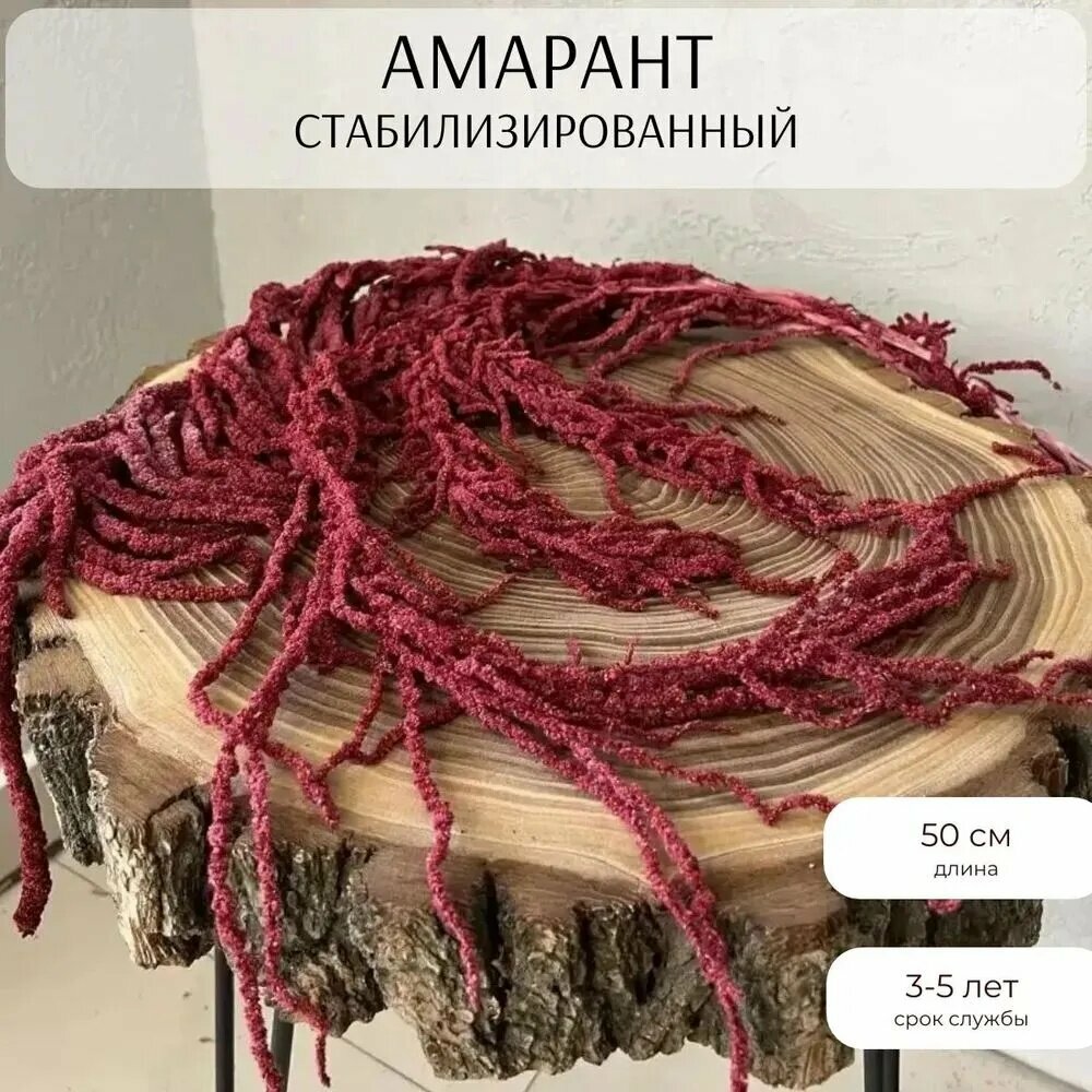 Сухоцветы Амарант, 50 см, 120 гр, 1 шт