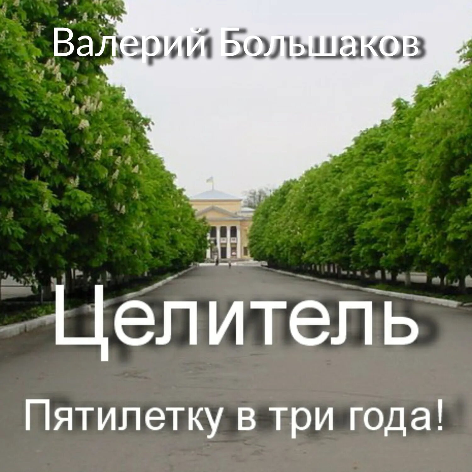 Целитель. Пятилетку в три года! [Аудиокнига]