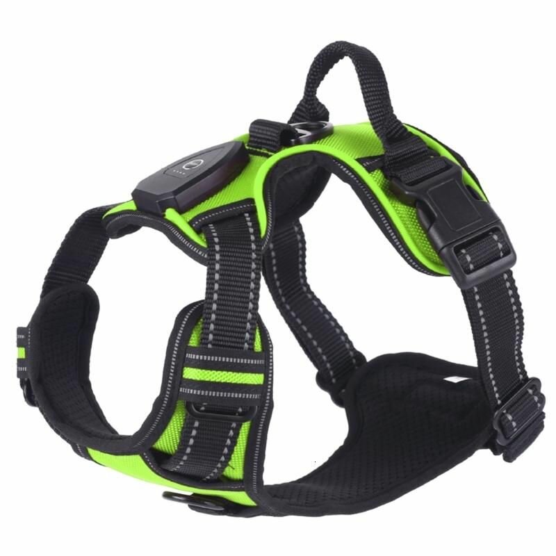 Светящаяся шлейка для собак с надежной застежкой, Трава зеленая - M