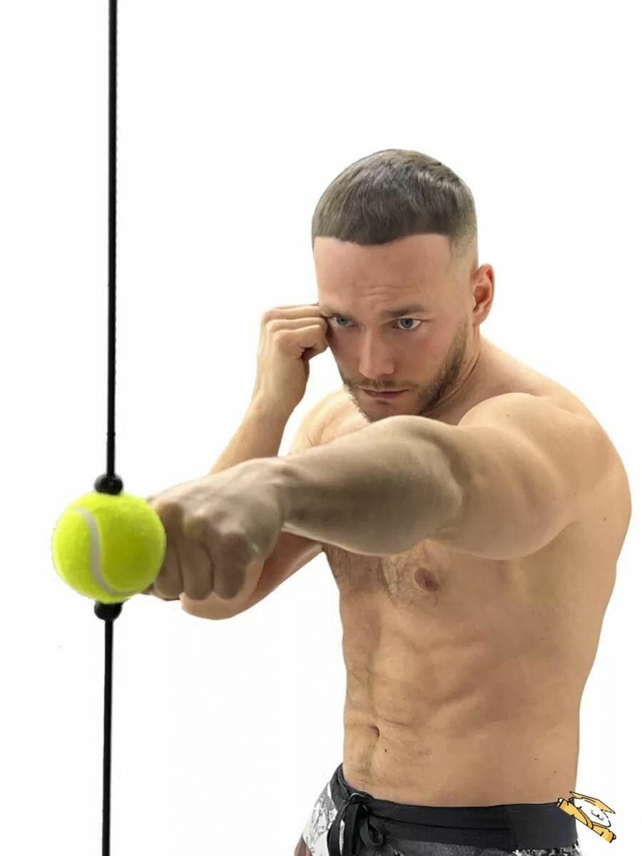 Файтбол мяч на резинке для бокса и единоборств