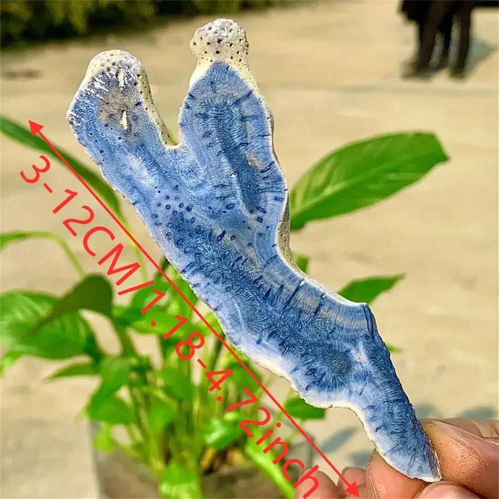 Коралловая пластина CrystalHola, цвет 100-200g