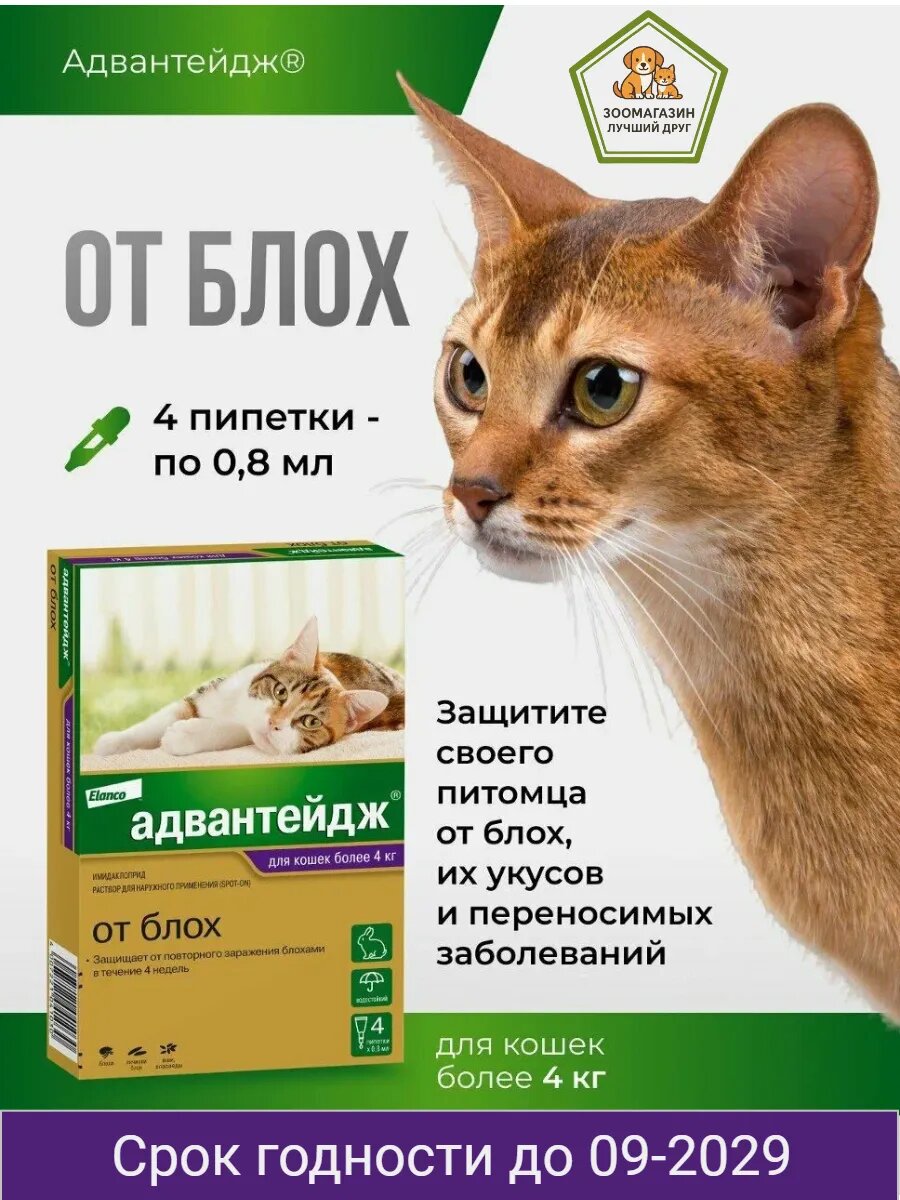 Адвантейдж для кошек более 4 кг