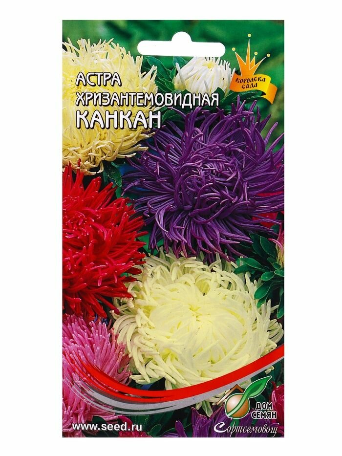 Семена цветов Астра хризант. Канкан смесь 100 шт