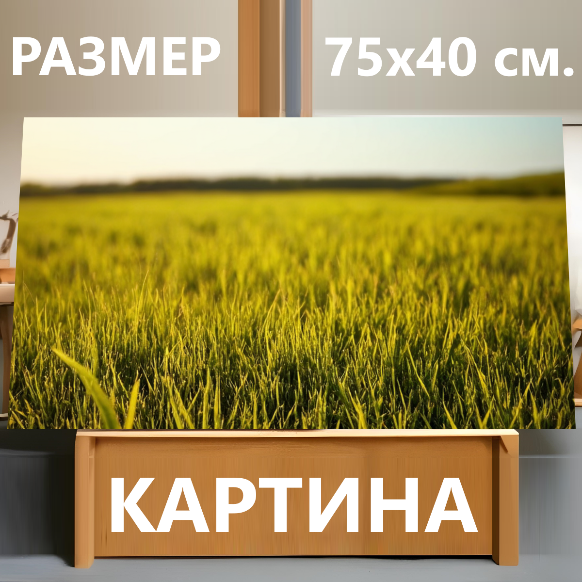 Картина на холсте "Поле, убаюкивающее звуками природы, где шепчет ветер и трещат травы, создающее успокаивающее ощущение. техника звуковой." на подрамнике 75х40 см. для интерьера