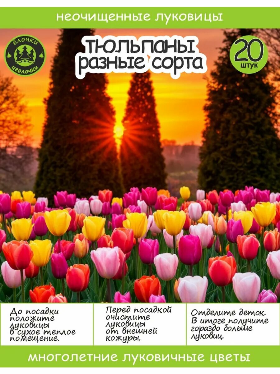 Тюльпан Луковицы, Микс сортов, 20шт