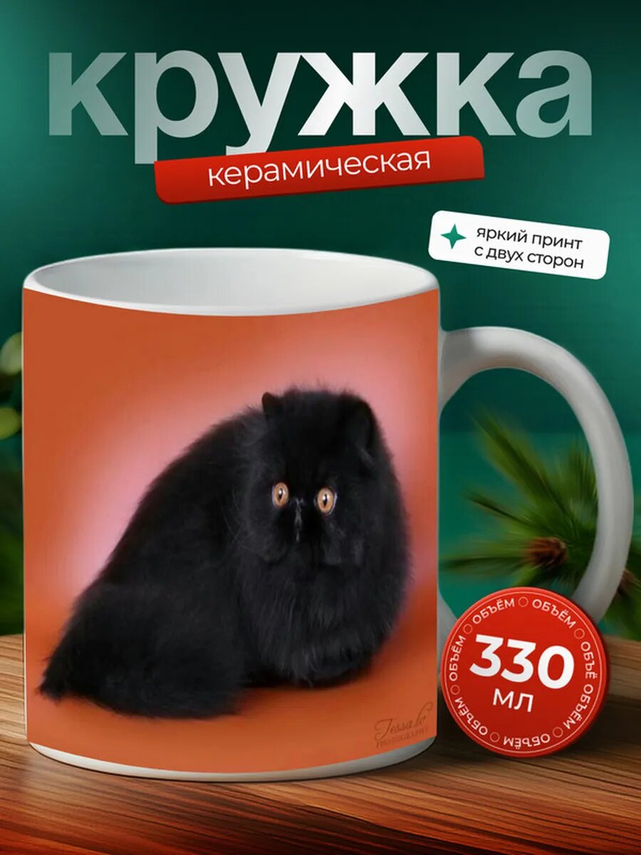 Кружка Иранский персидский кот 32,