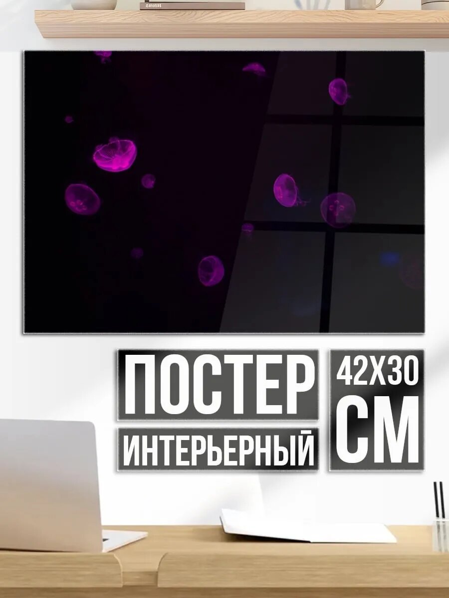 Плакат постер фиолетовые клетки темноте