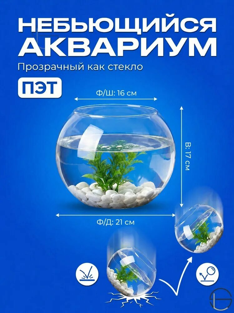 Аквариум круглый настольный для рыбок и петушка, небьющийся ПЭТ, прозрачный, 21х17 см