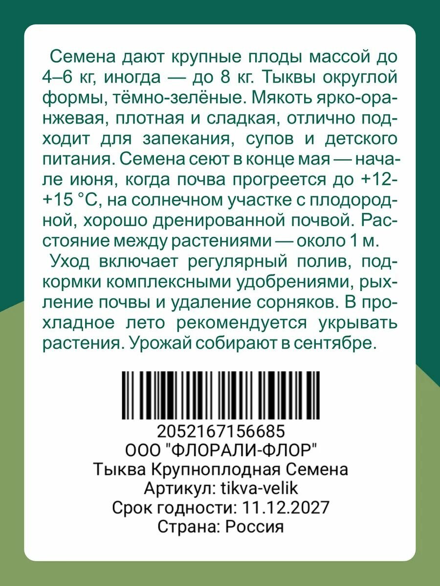 Тыква Крупноплодная Семена — фото 1