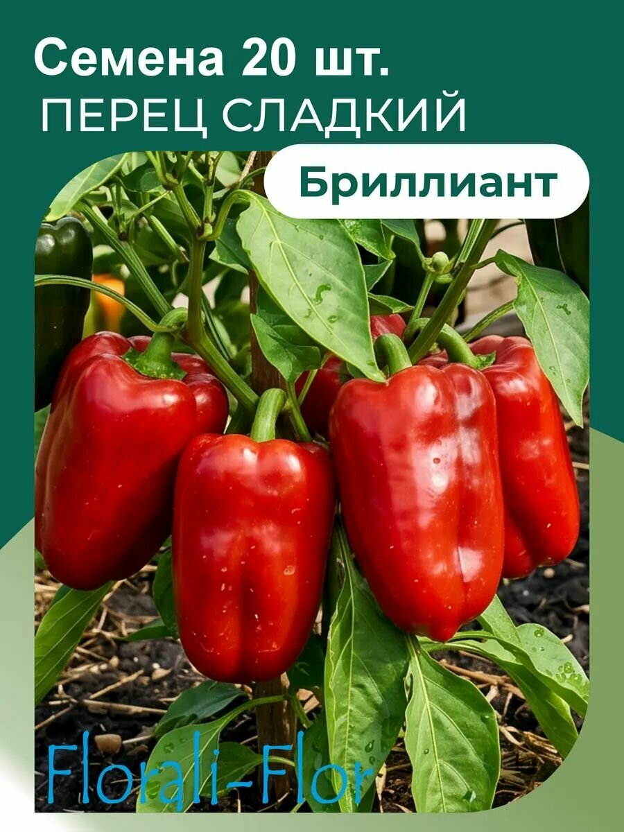 Перец Семена