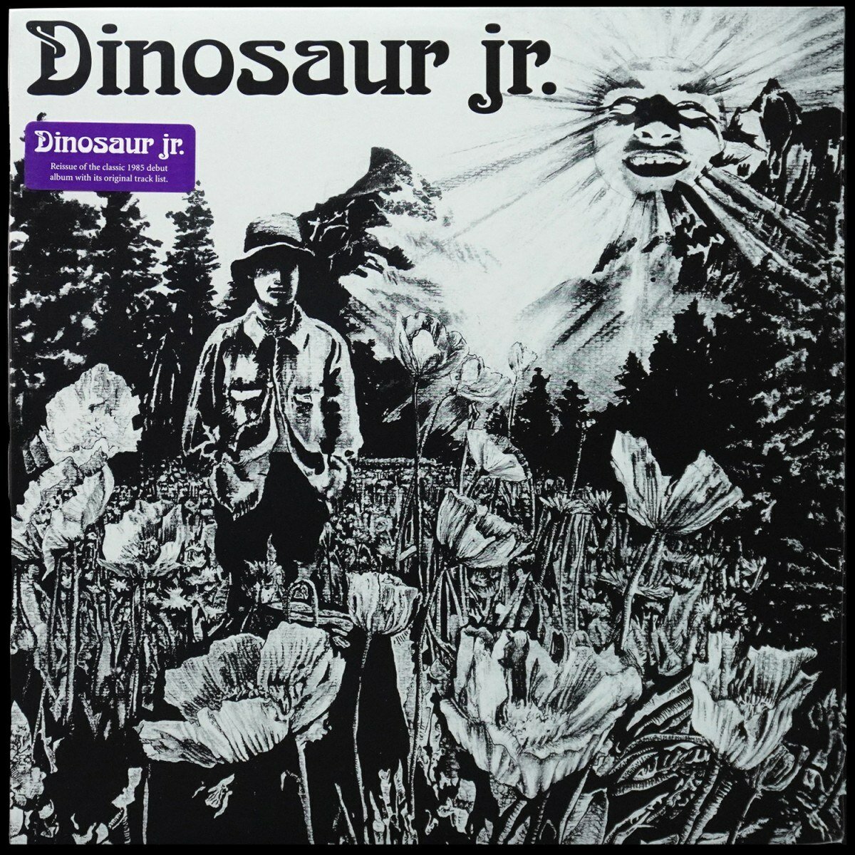 Виниловая пластинка Jagjaguwar Dinosaur Jr. – Dinosaur