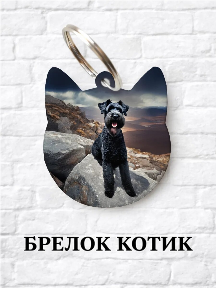 Брелок ZHENYA CLOUD
