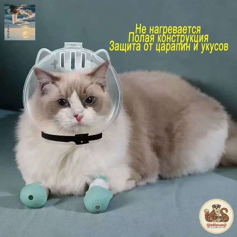 Дышащий намордник для кошек, пластиковый круглый защитный купол-гримминг шлем прозрачный