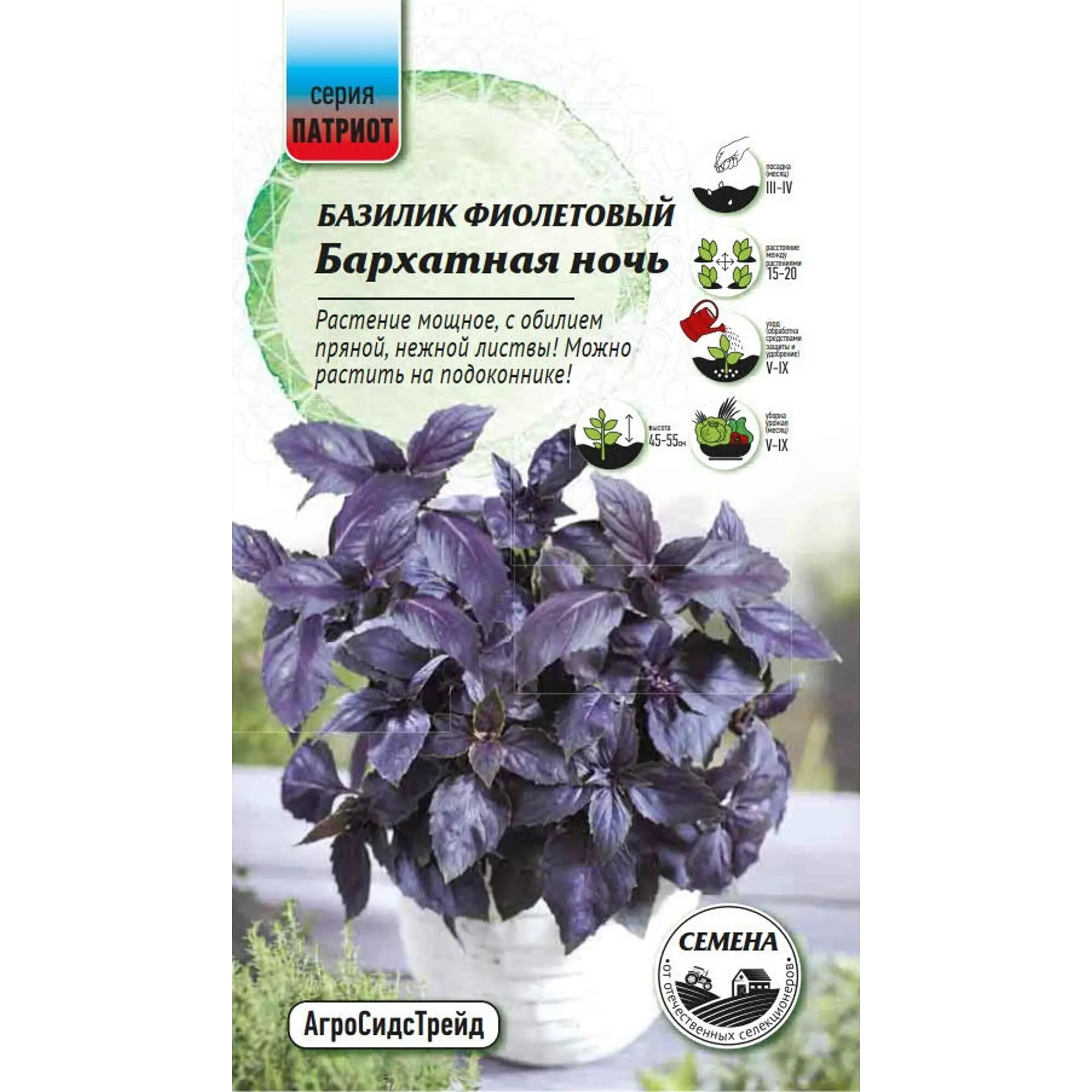 Патриот семена пряных трав базилик Бархатная ночь - сорт для домашнего выращивания