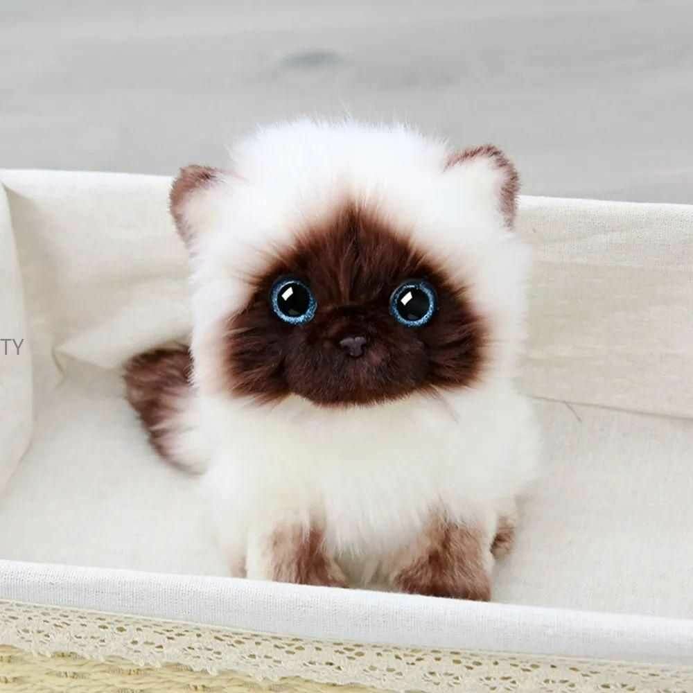 Плюшевая игрушка Имитация котенка кукольная сиамская кошачья кукла маленькая кукла