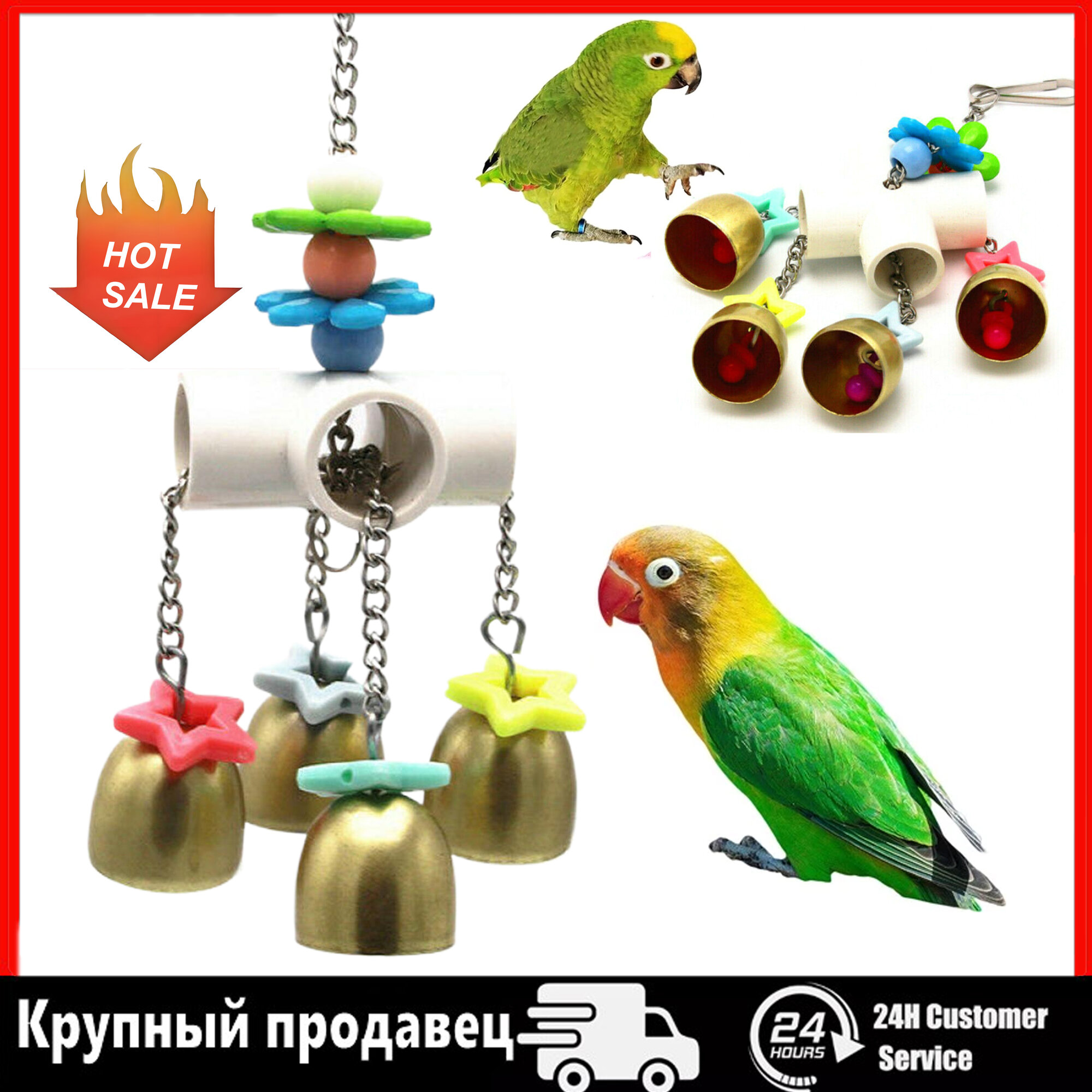 Африканский серый попугай Budgie с тигровой костью, висящий попугай, жующий колокольчиком