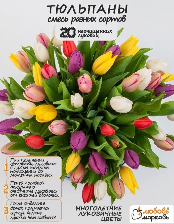 Тюльпан Луковица, Микс сортов, 20 шт (Любовь морковь)